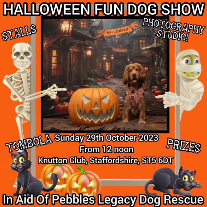 29.10.23 – Fun Dog Show at Knutton Ex-Servicements Club – The Hitmix ...